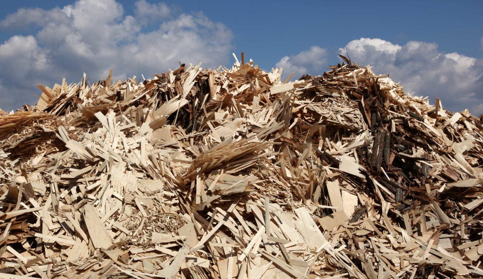 Wood & Timber - Davis Recycling